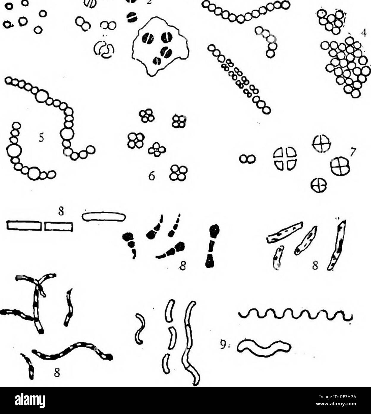 Microscope again hi-res stock photography and images - Alamy