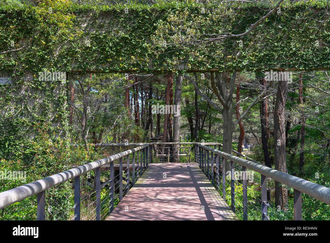 Bridge scenic trees hi-res stock photography and images - Alamy