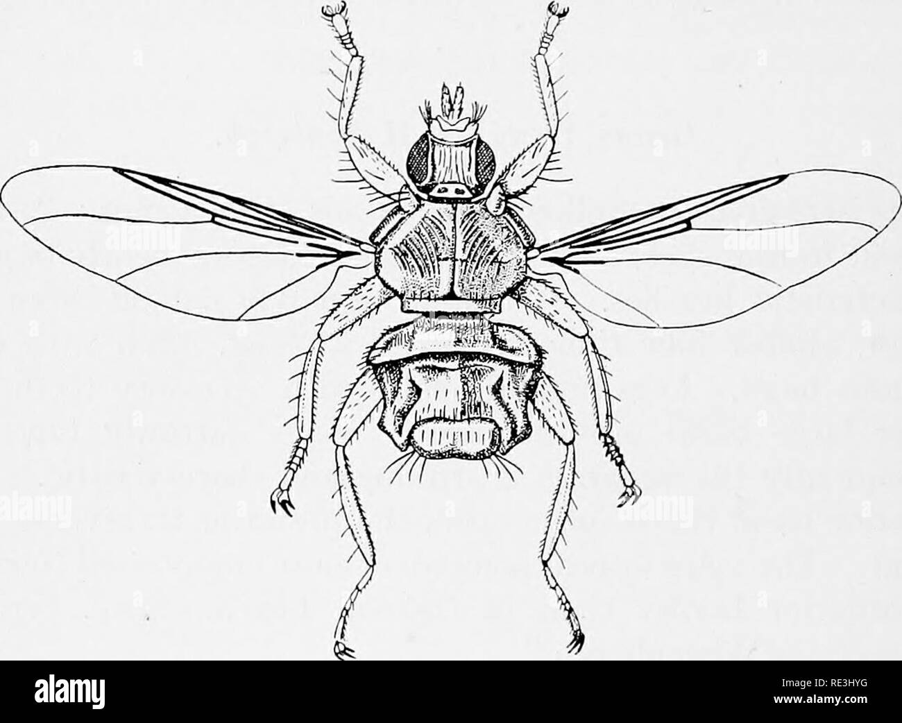 1885 description hi-res stock photography and images - Alamy