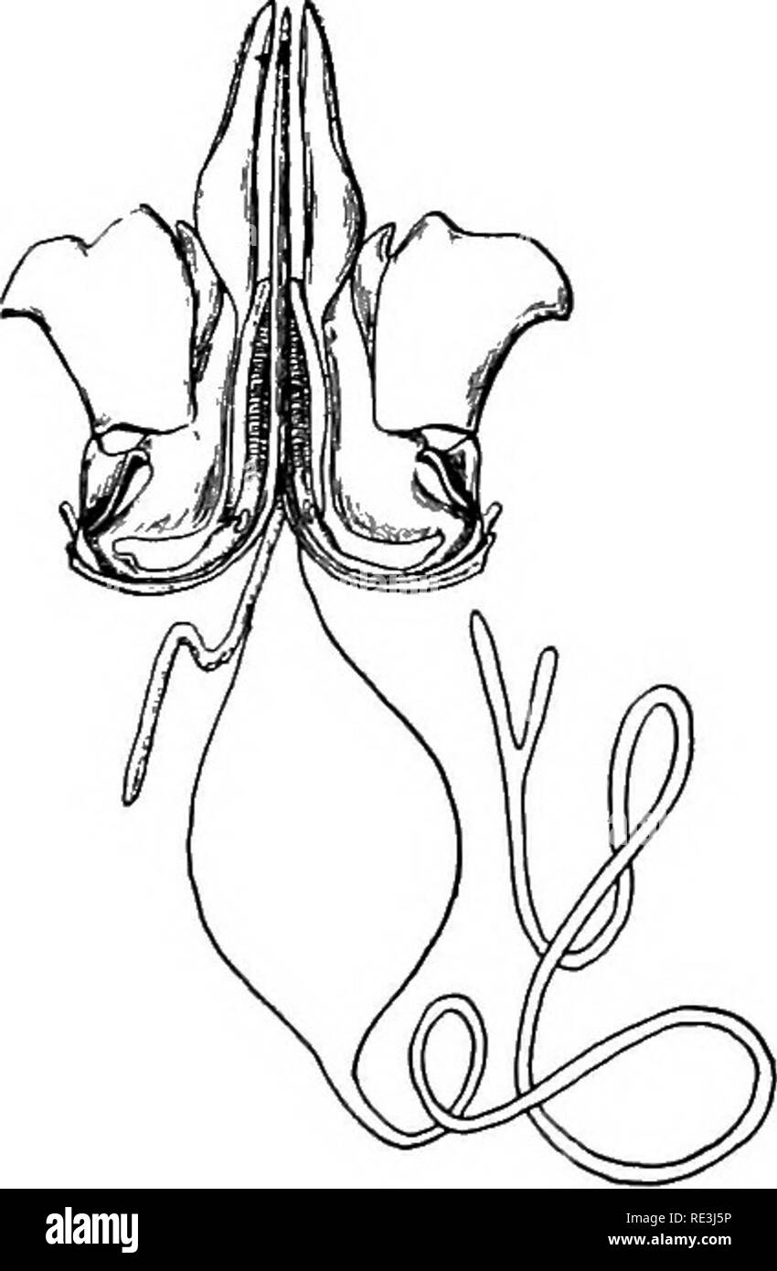 Shs structures Cut Out Stock Images & Pictures - Alamy