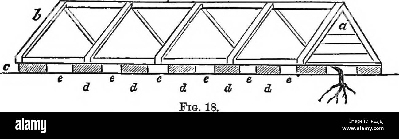 . The miniature fruit garden ; or, The culture of pyramidal and bush ...