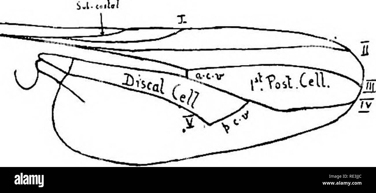 . The practical study of malaria and other blood parasites. Malaria ...