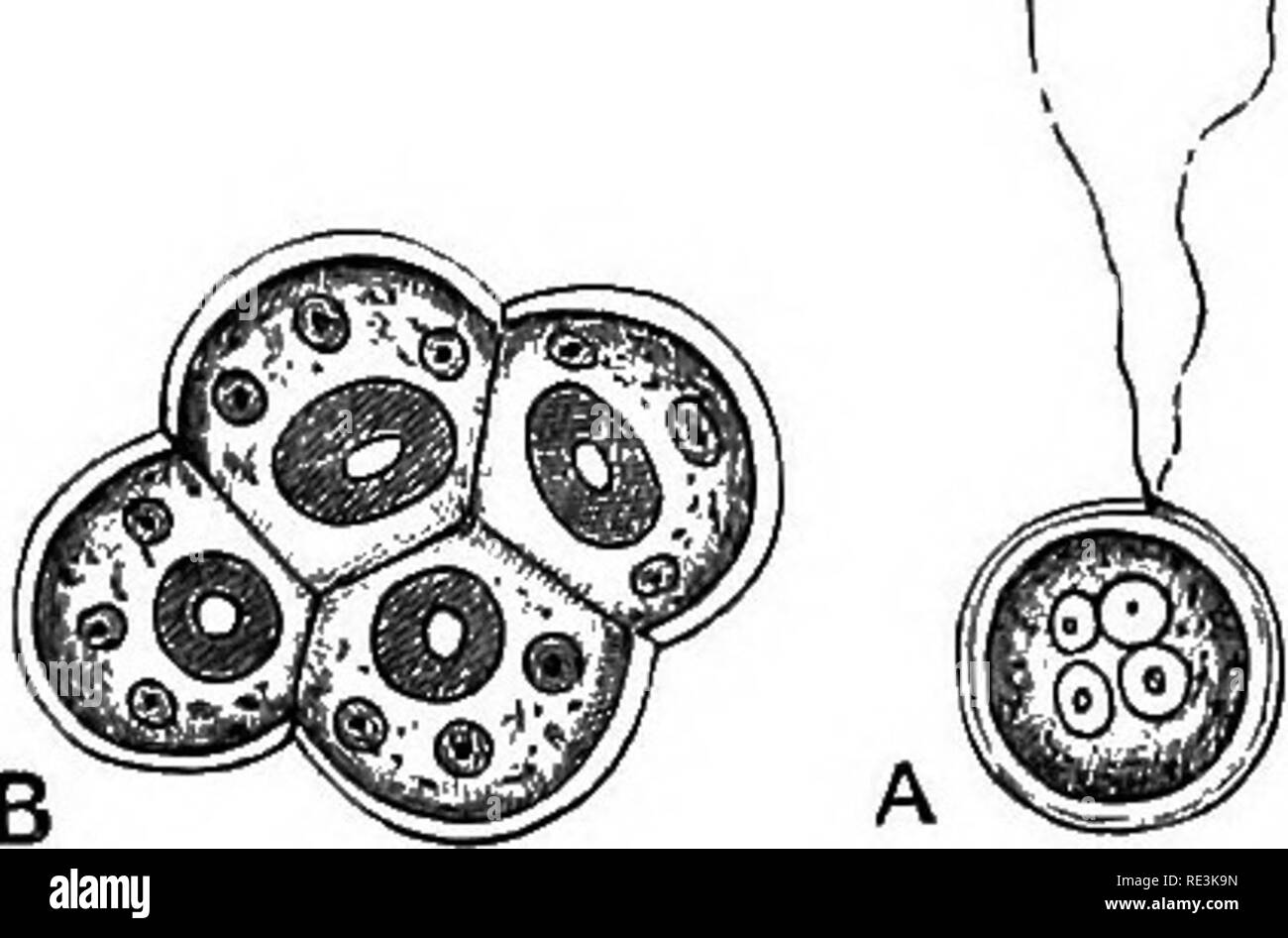 Number 415 Black and White Stock Photos & Images - Alamy