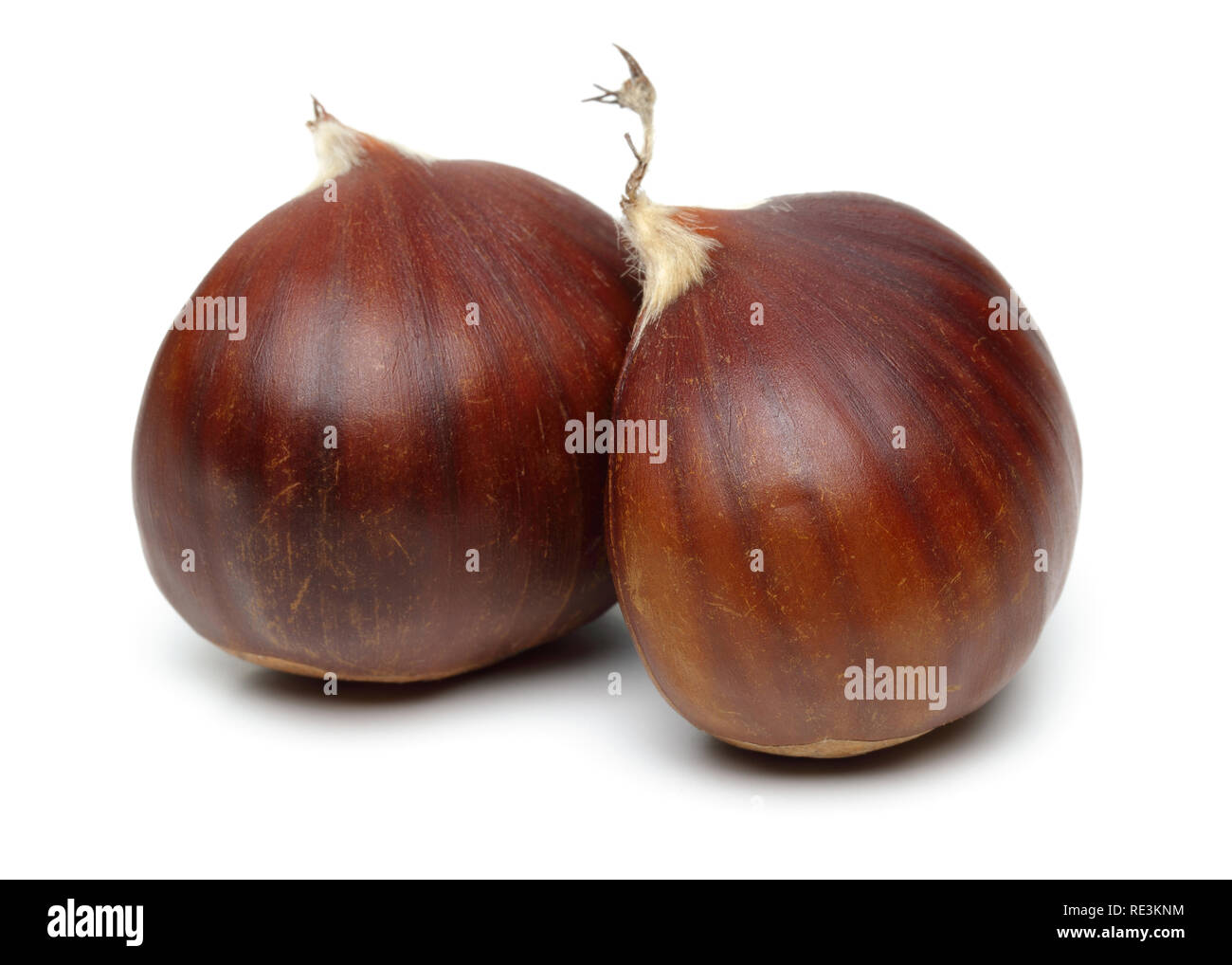 Chestnuts isolated on white background Stock Photo - Alamy
