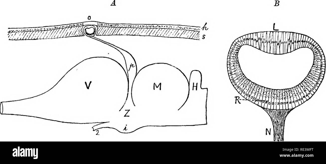 Pigmented wall hi-res stock photography and images - Alamy