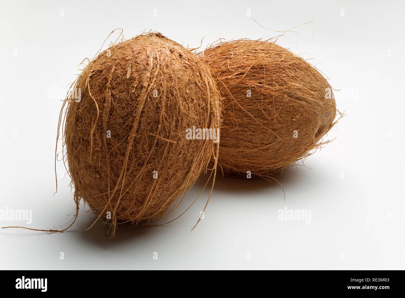 Two whole coconuts on white background Stock Photo - Alamy