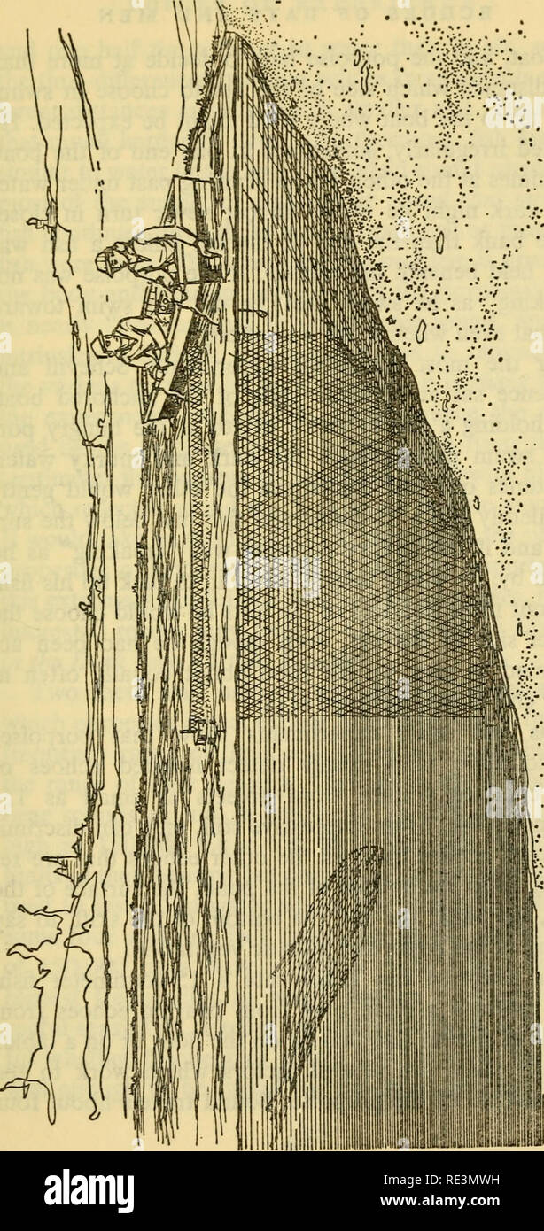 Echolocation sound waves hi-res stock photography and images - Alamy