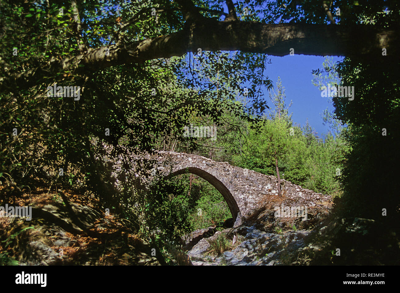 Elia venetian bridge hi-res stock photography and images - Alamy