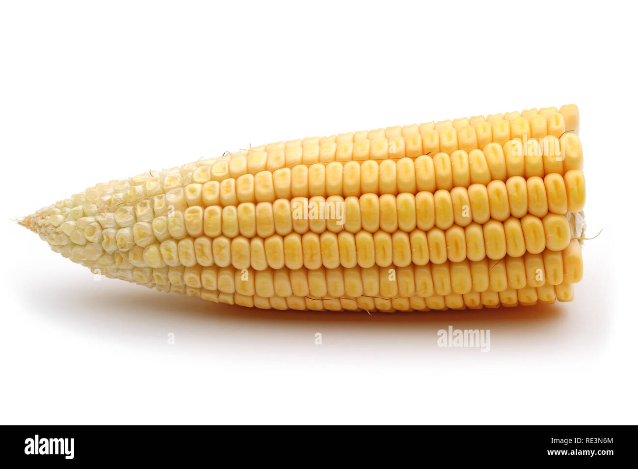 Fresh corn isolated on white background Stock Photo - Alamy