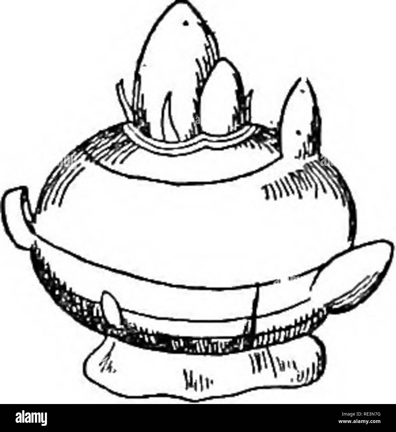 Emmett Coloring Pages