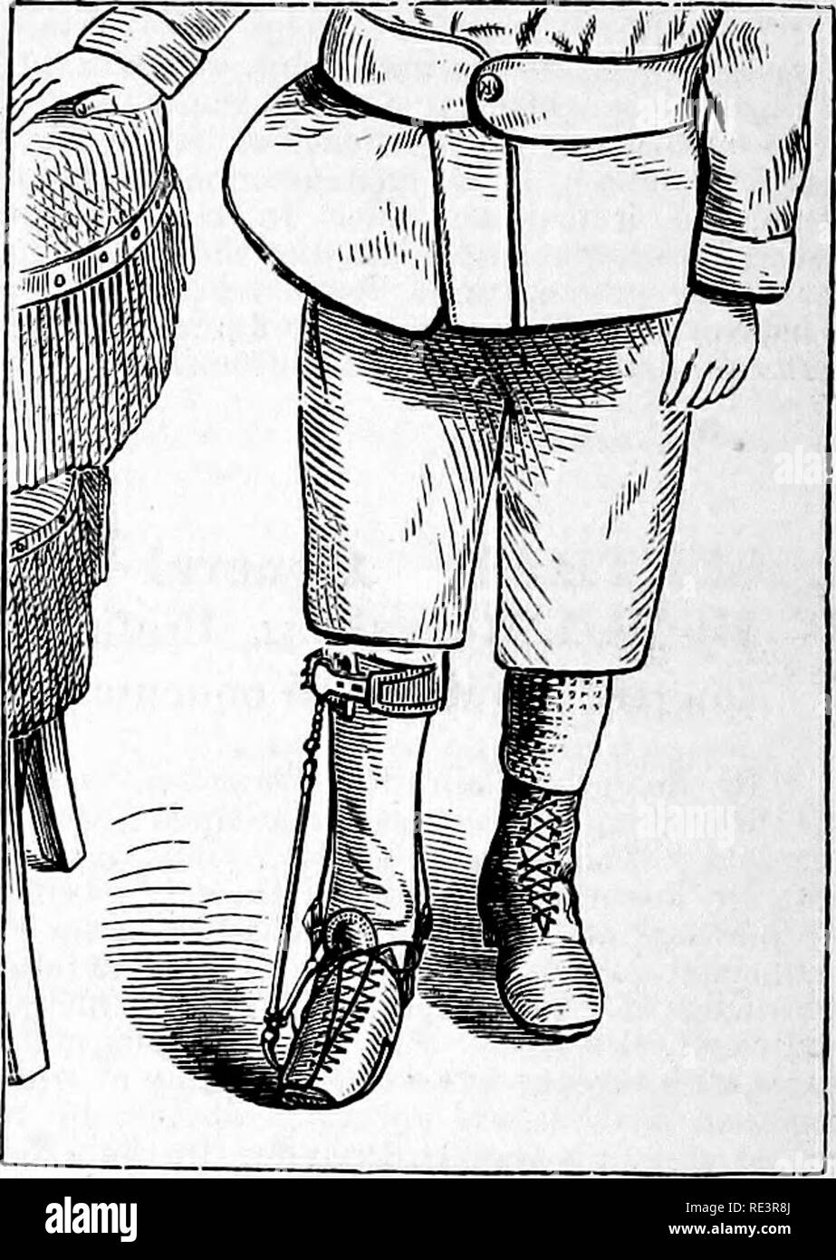 Lewis sayre hi-res stock photography and images - Alamy