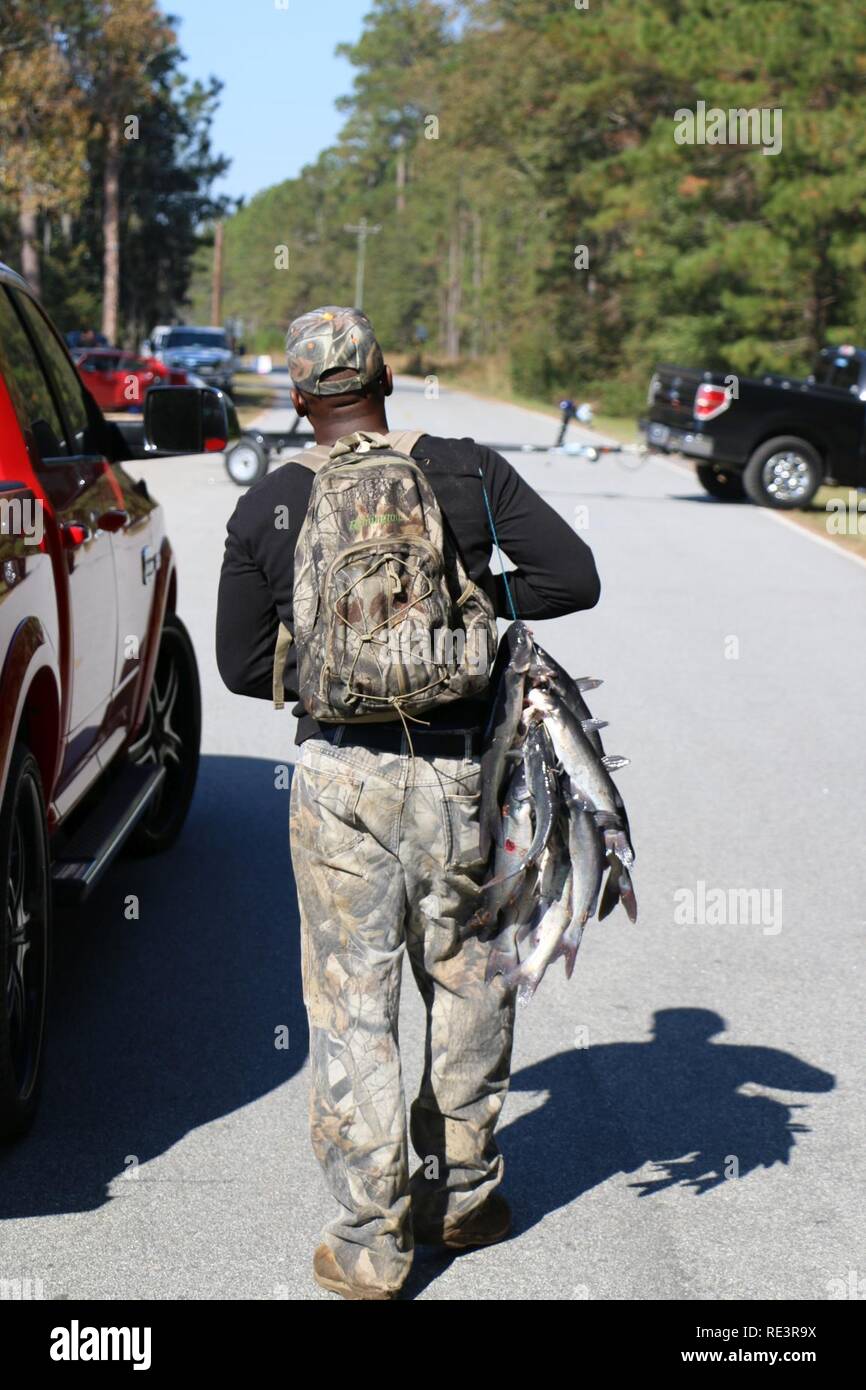 Soldier catfish hi-res stock photography and images - Alamy