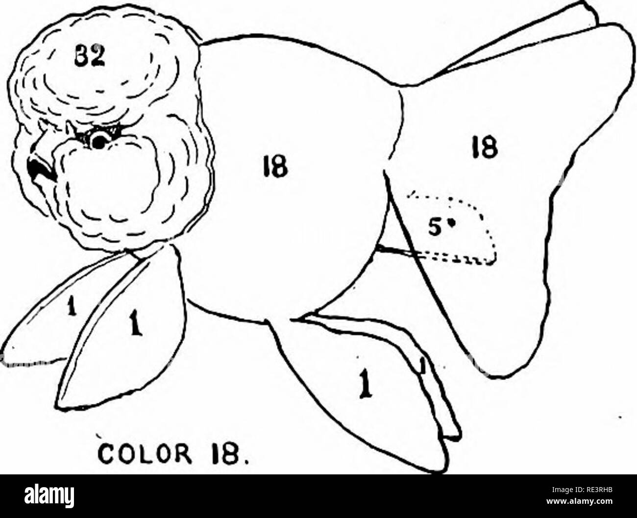 Judging from appearance Cut Out Stock Images & Pictures - Alamy