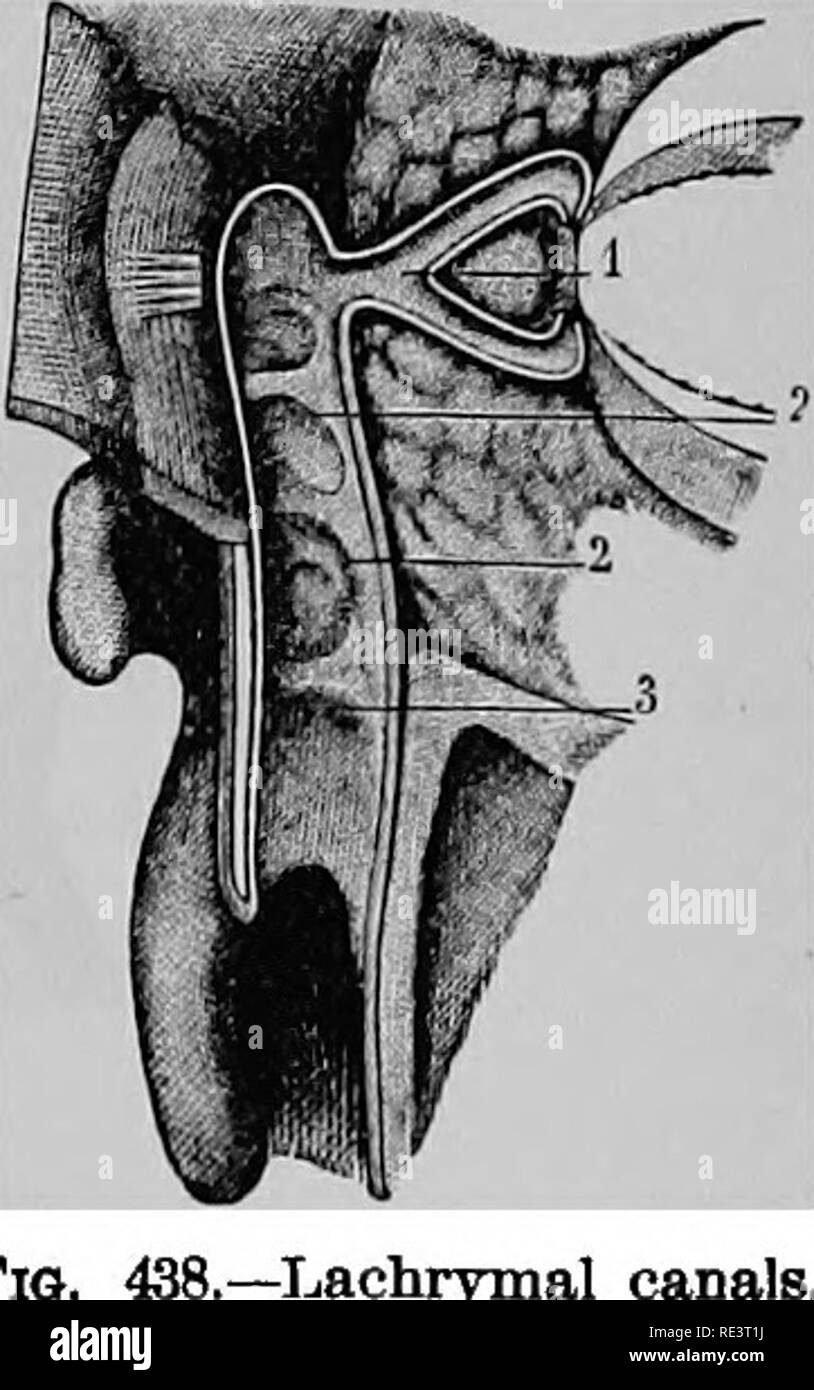 Saltness hi-res stock photography and images - Alamy