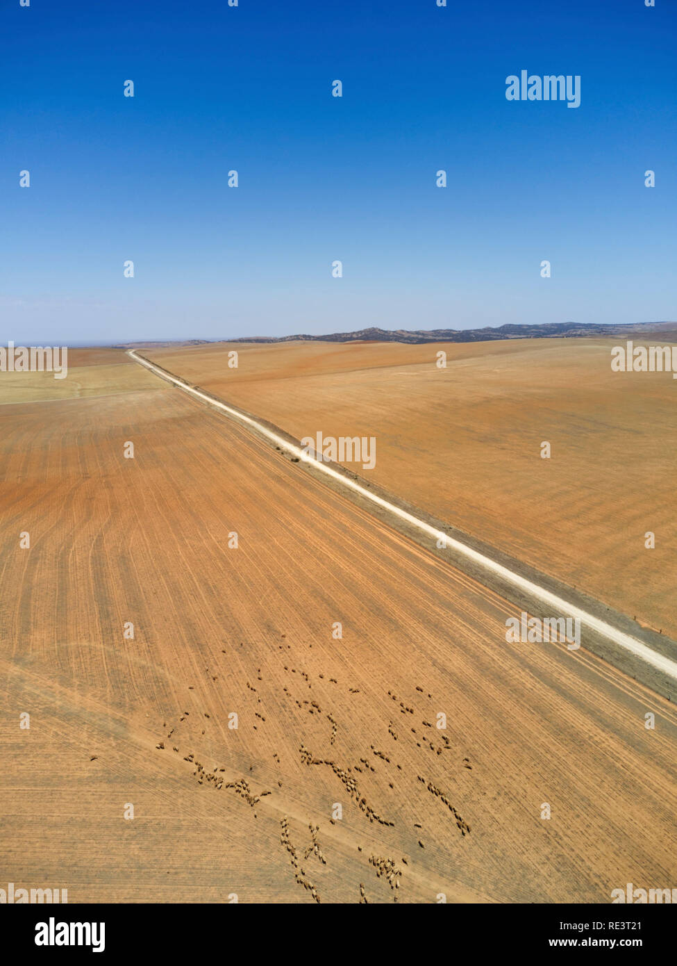 Dryland grazing hi-res stock photography and images - Alamy
