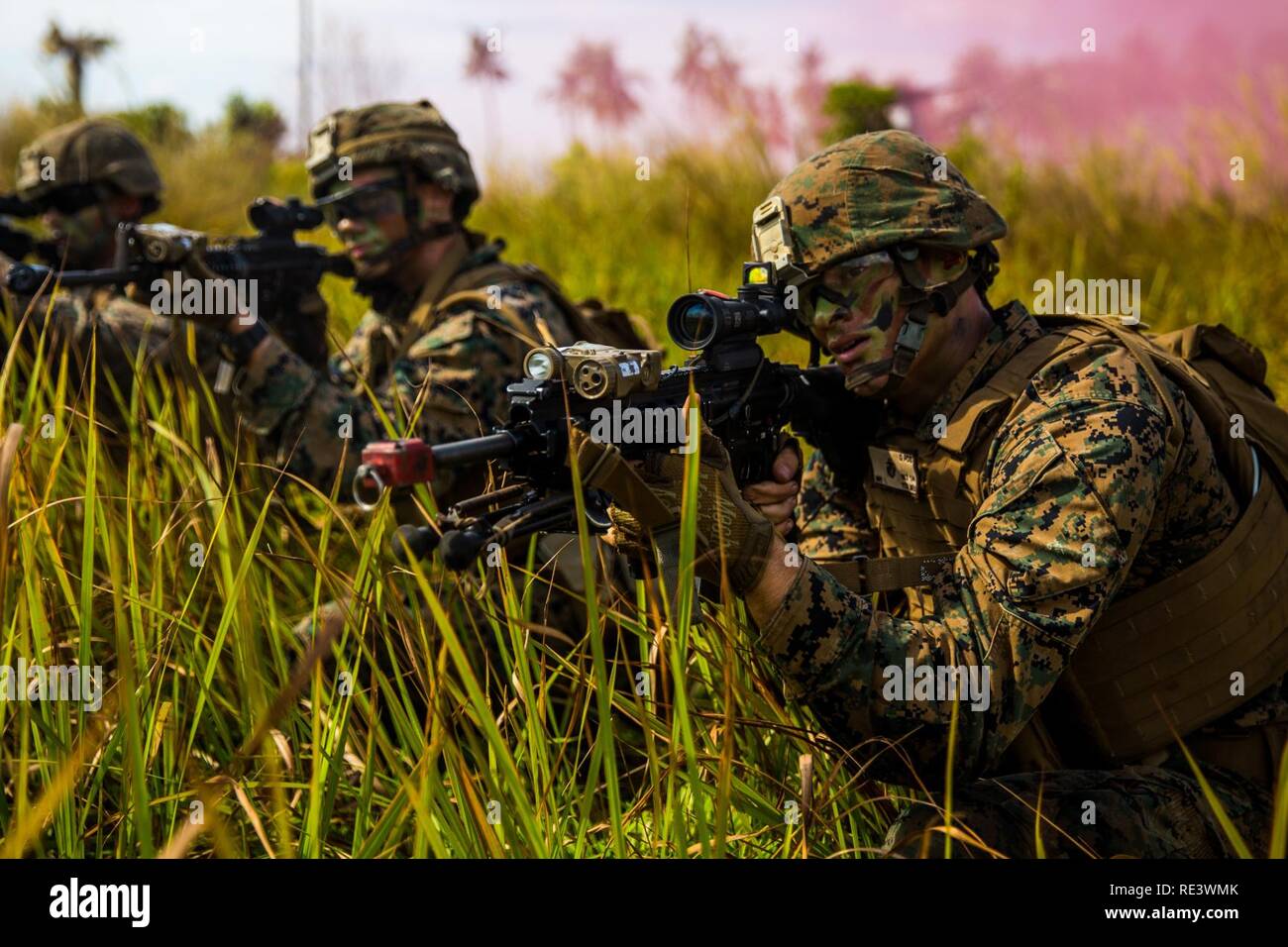 Tiger strike 2016 hi-res stock photography and images - Alamy