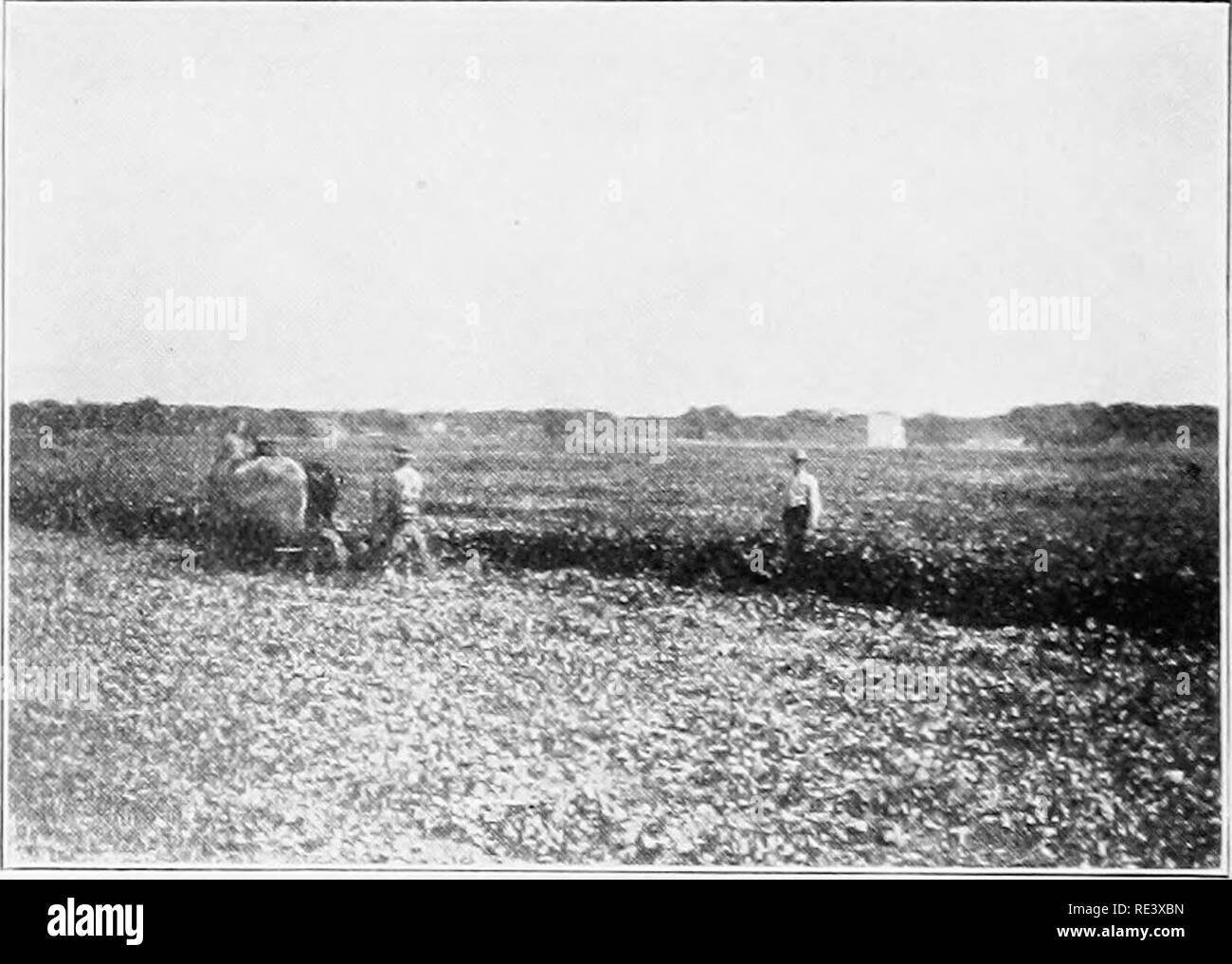 Corn soy crop rotation hi-res stock photography and images - Alamy