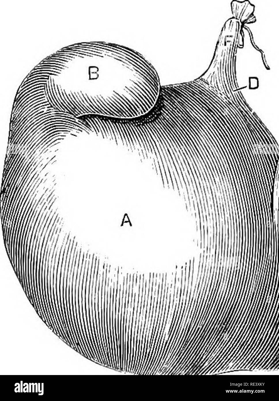 Cul e sac Black and White Stock Photos & Images - Alamy