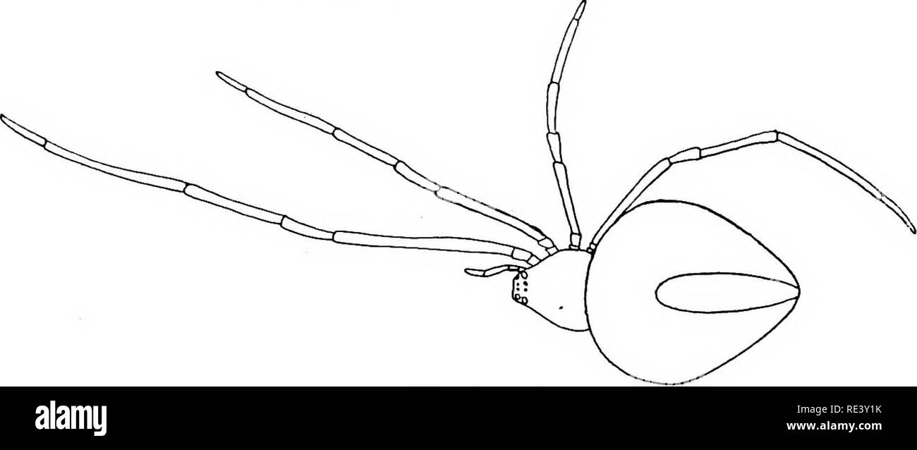 . Entomology for medical officers. Insect pests; Insects as carriers of ...
