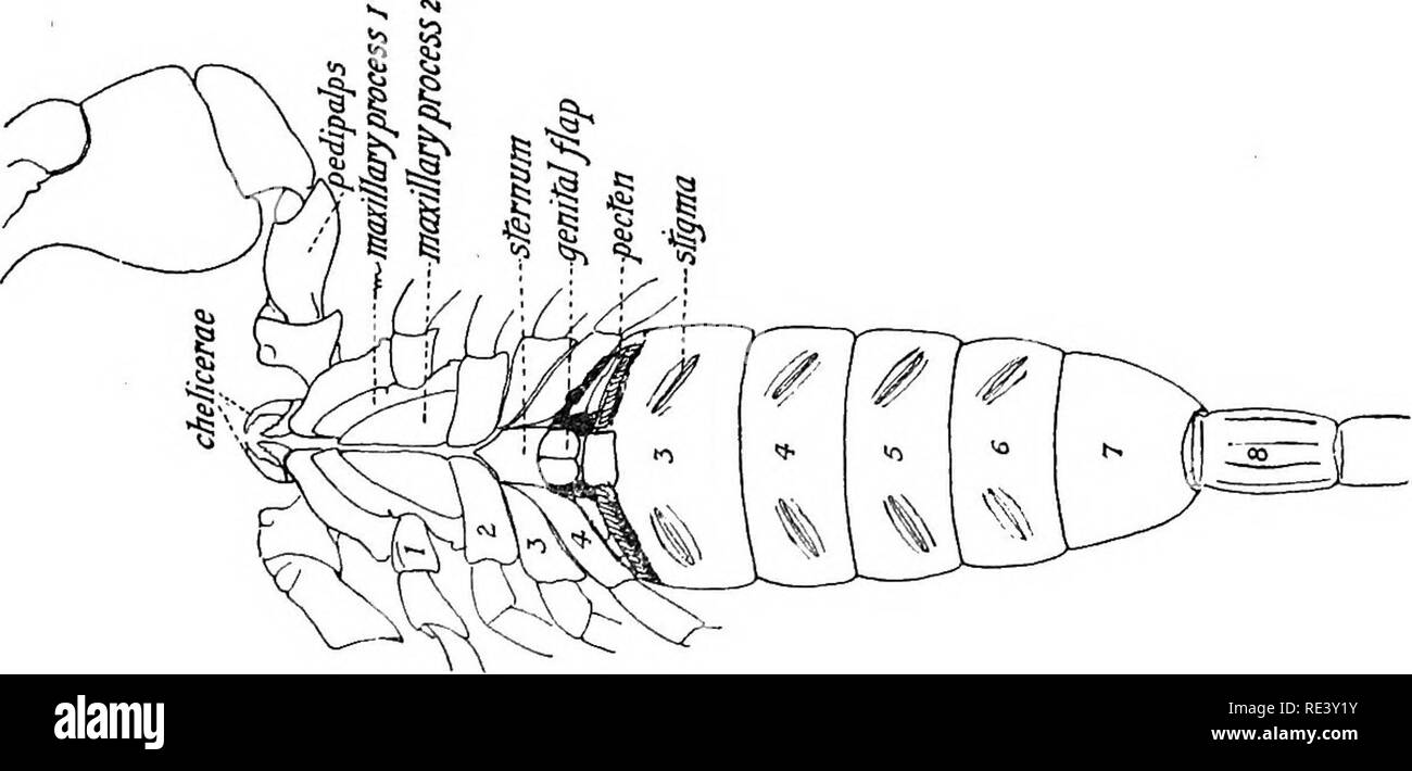 . Entomology for medical officers. Insect pests; Insects as carriers of ...