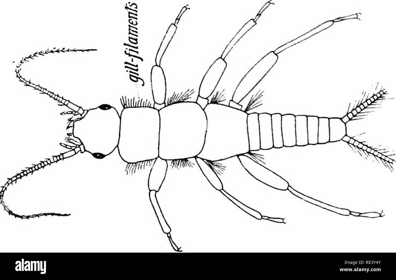 . Entomology for medical officers. Insect pests; Insects as carriers of ...