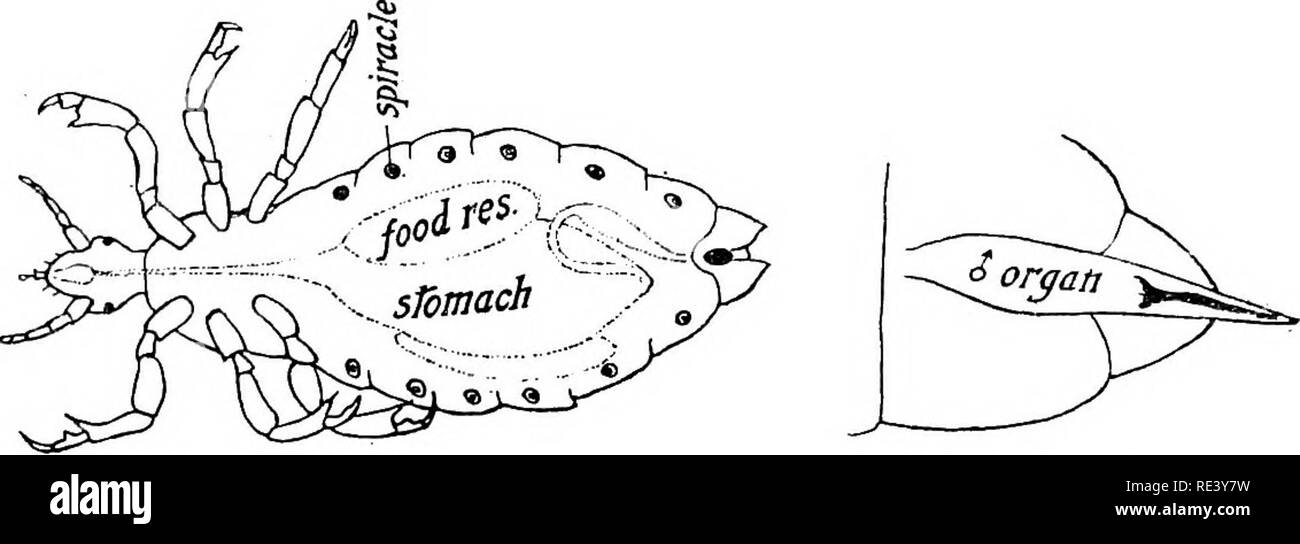 . Entomology for medical officers. Insect pests; Insects as carriers of ...