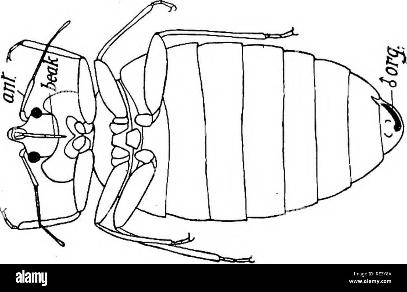 Officees hi-res stock photography and images - Alamy