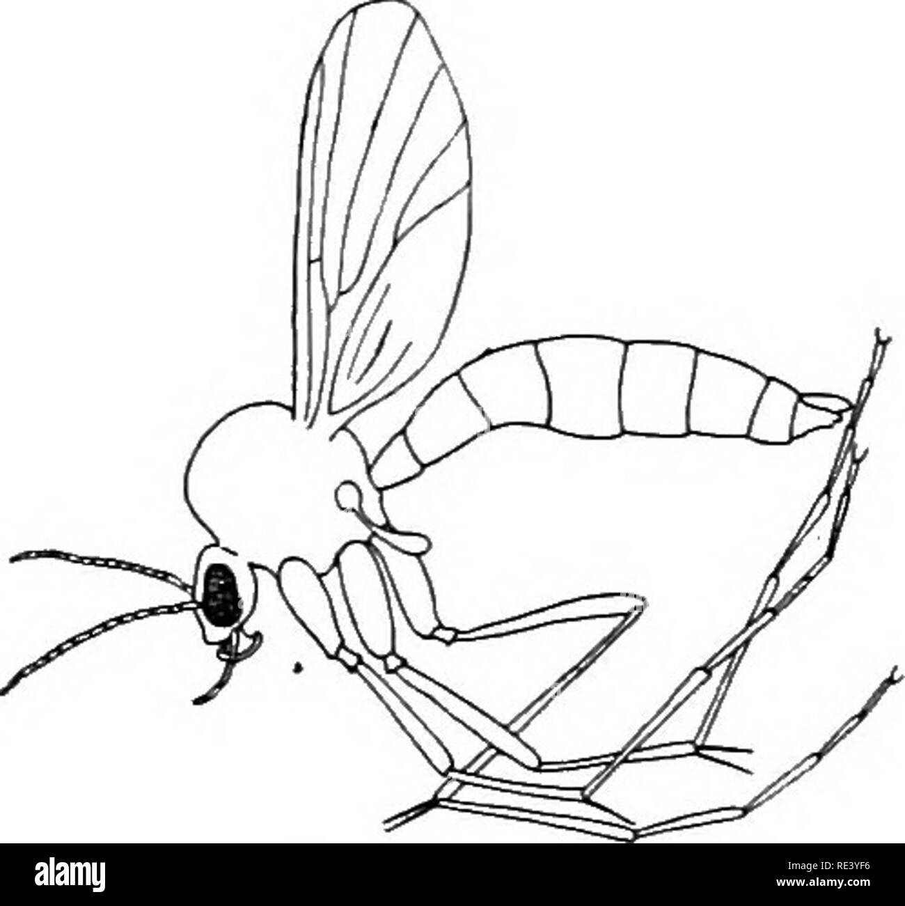 . Entomology for medical officers. Insect pests; Insects as carriers of ...