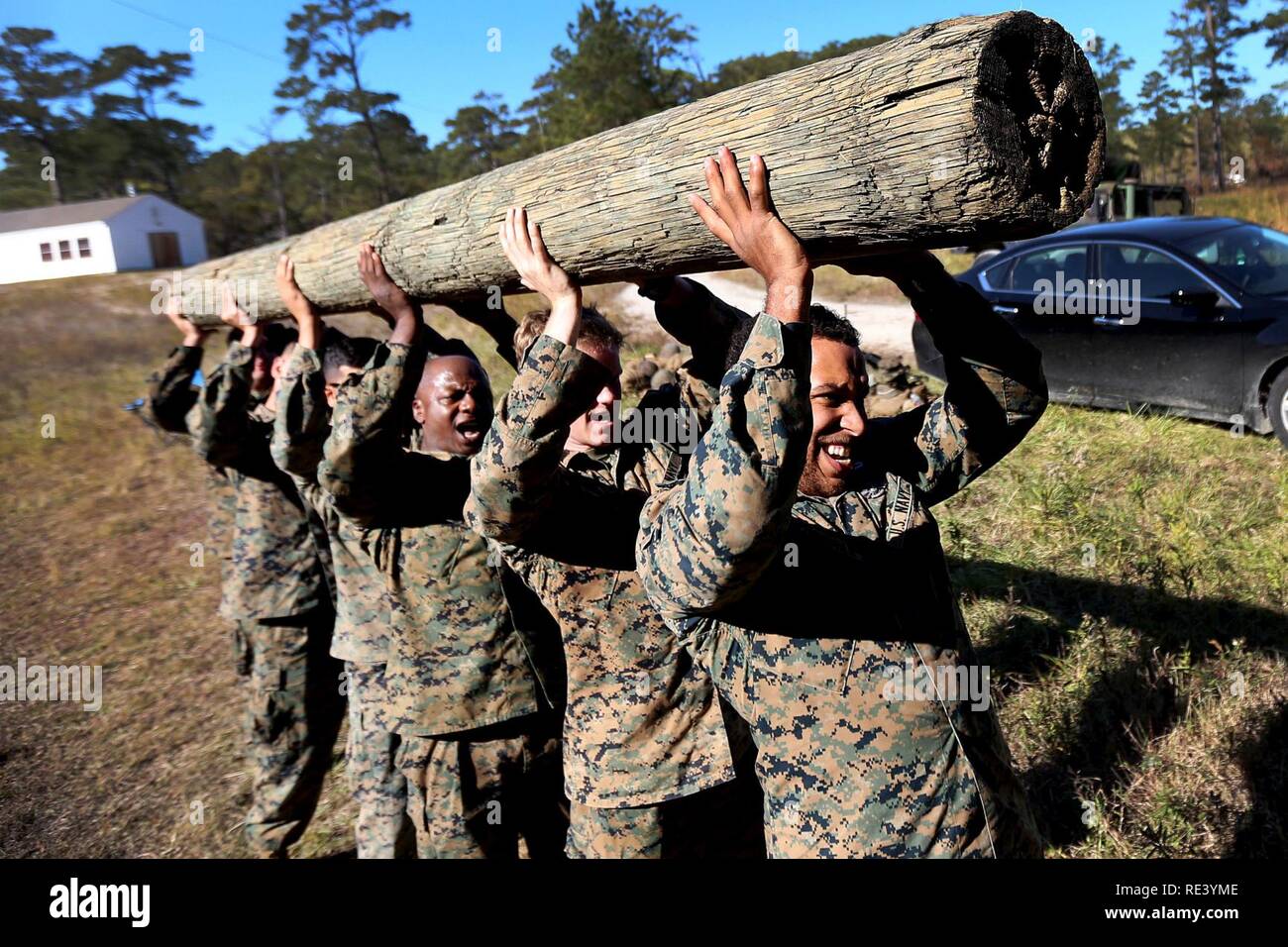 Marines and Sailors work together to complete the strength portion of ...
