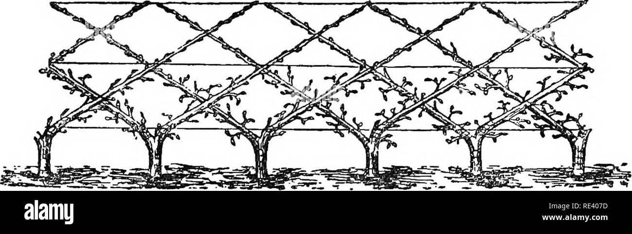 Andre Dore High Resolution Stock Photography and Images - Alamy