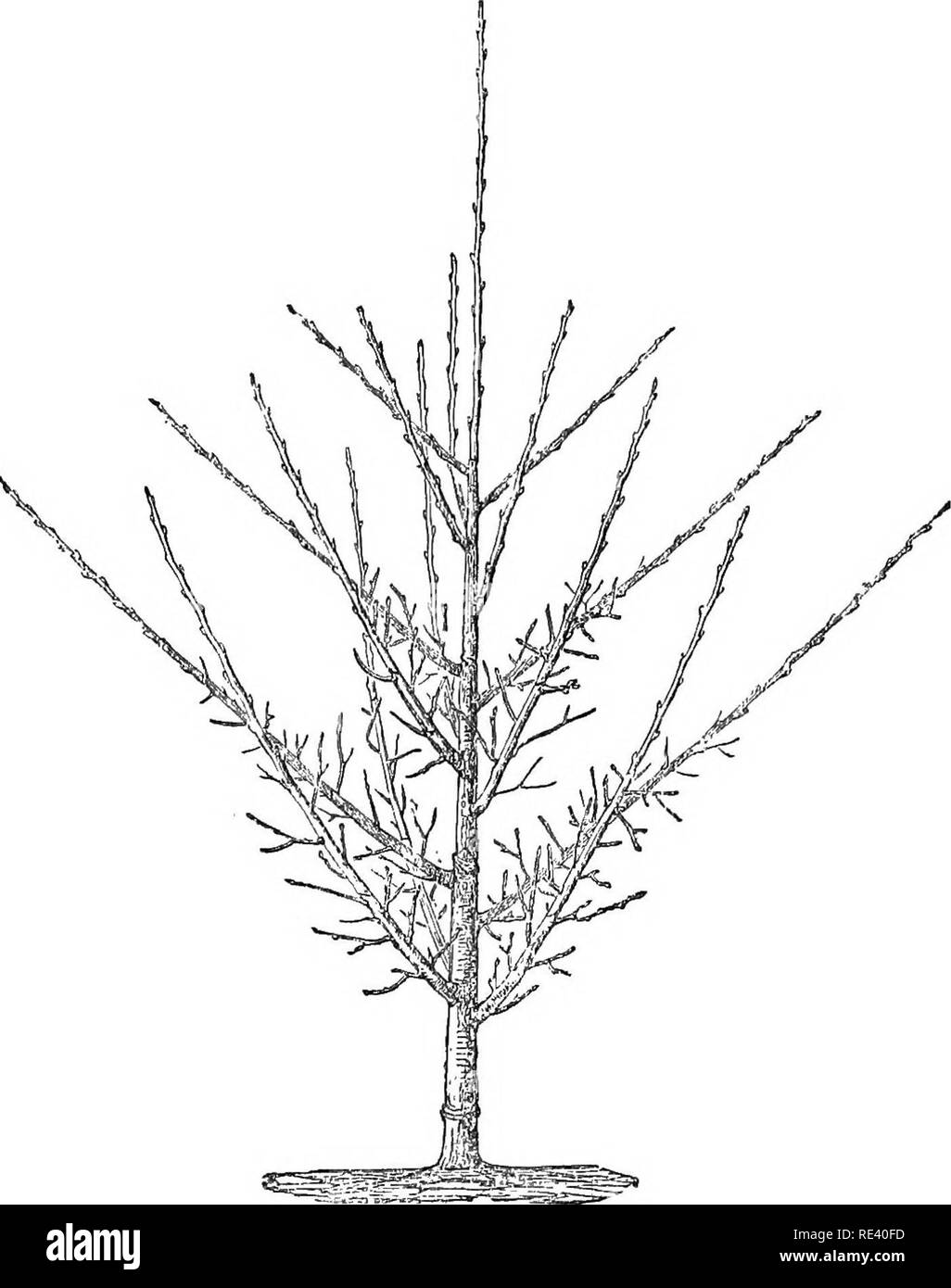 Wire pyramid Black and White Stock Photos & Images - Alamy