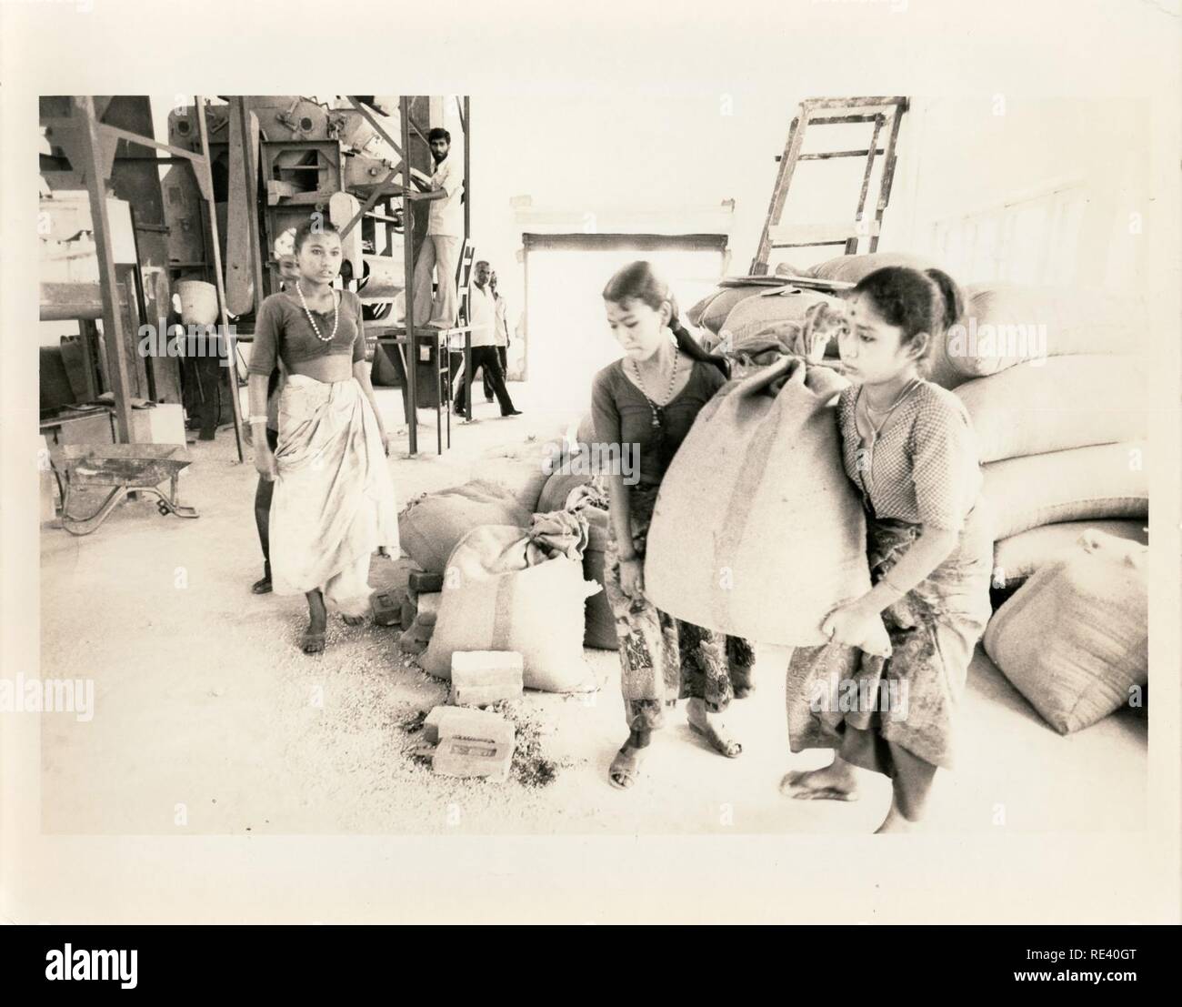 TWO GIRLS LIFTING ONE LARGE SACK FROM ONE BIG PILE OF SACKS WHILE OTHER ...