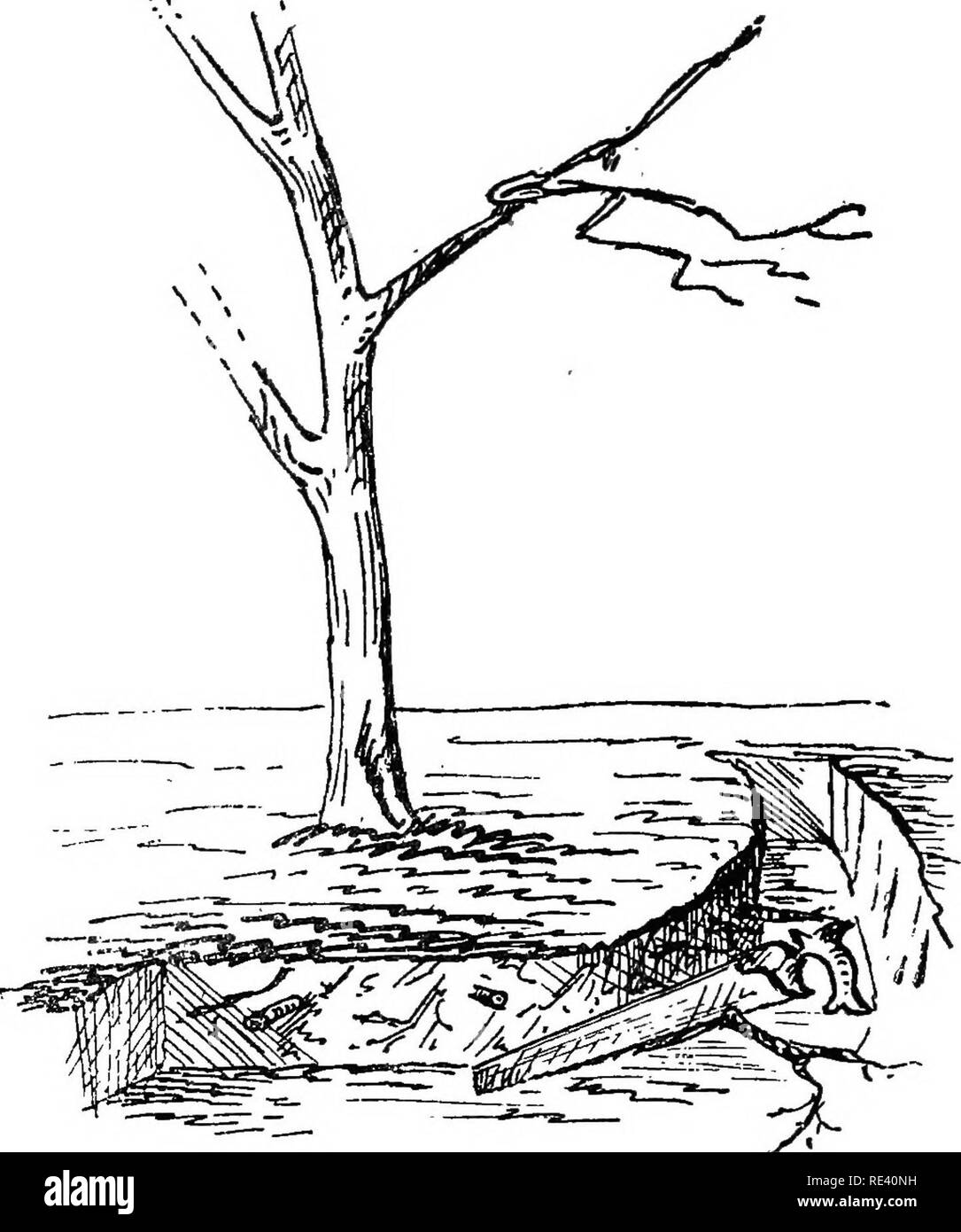 A coleman Cut Out Stock Images & Pictures - Alamy