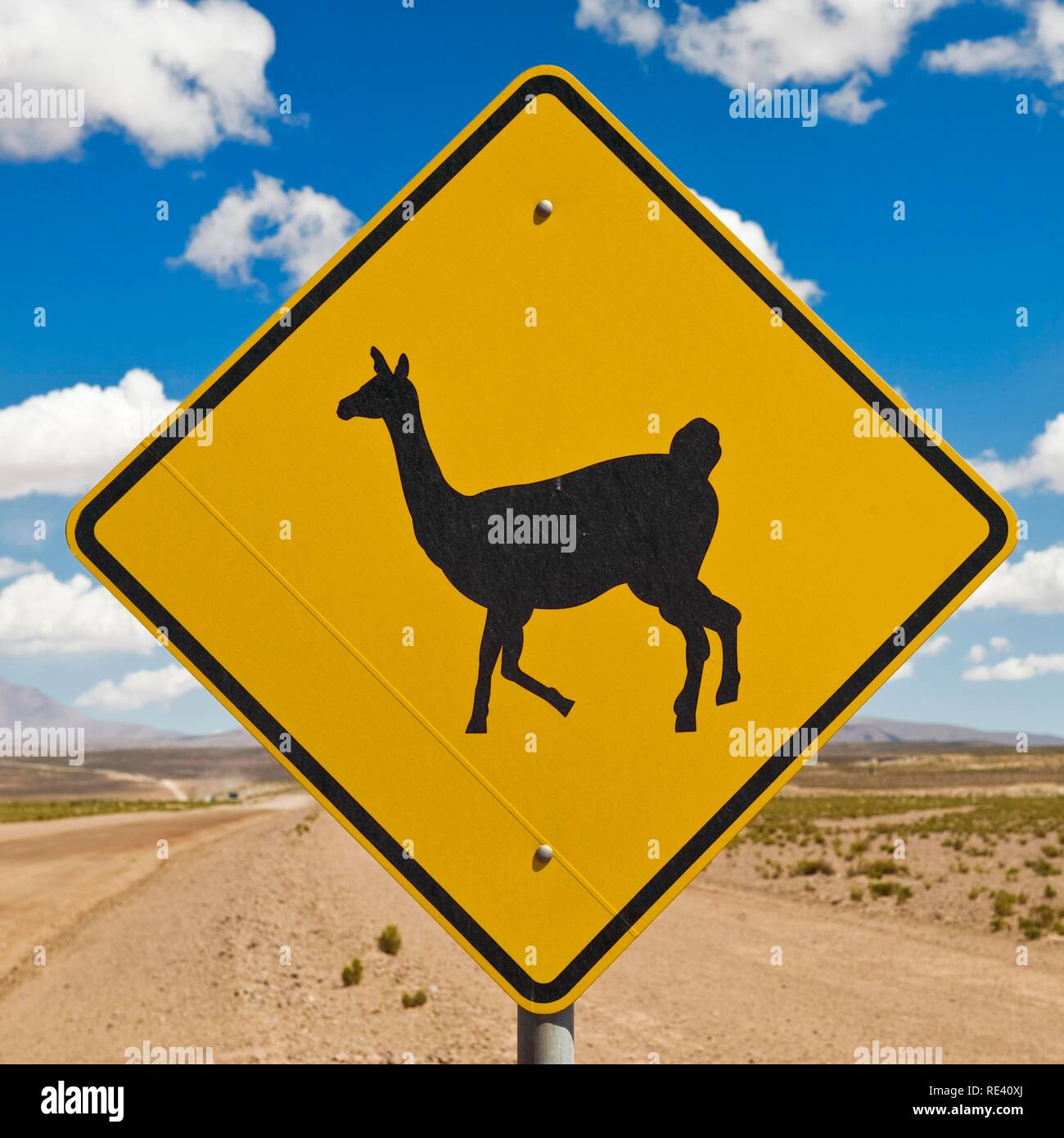 Llama warning sign hi-res stock photography and images - Alamy