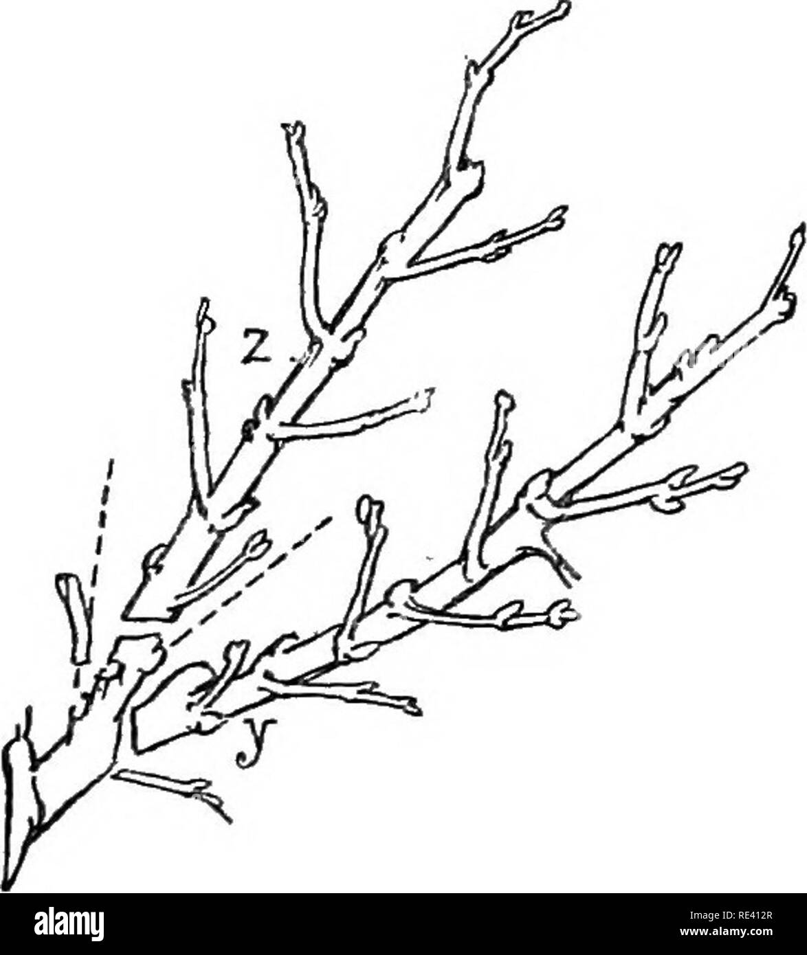 8 feet wide Black and White Stock Photos & Images - Alamy