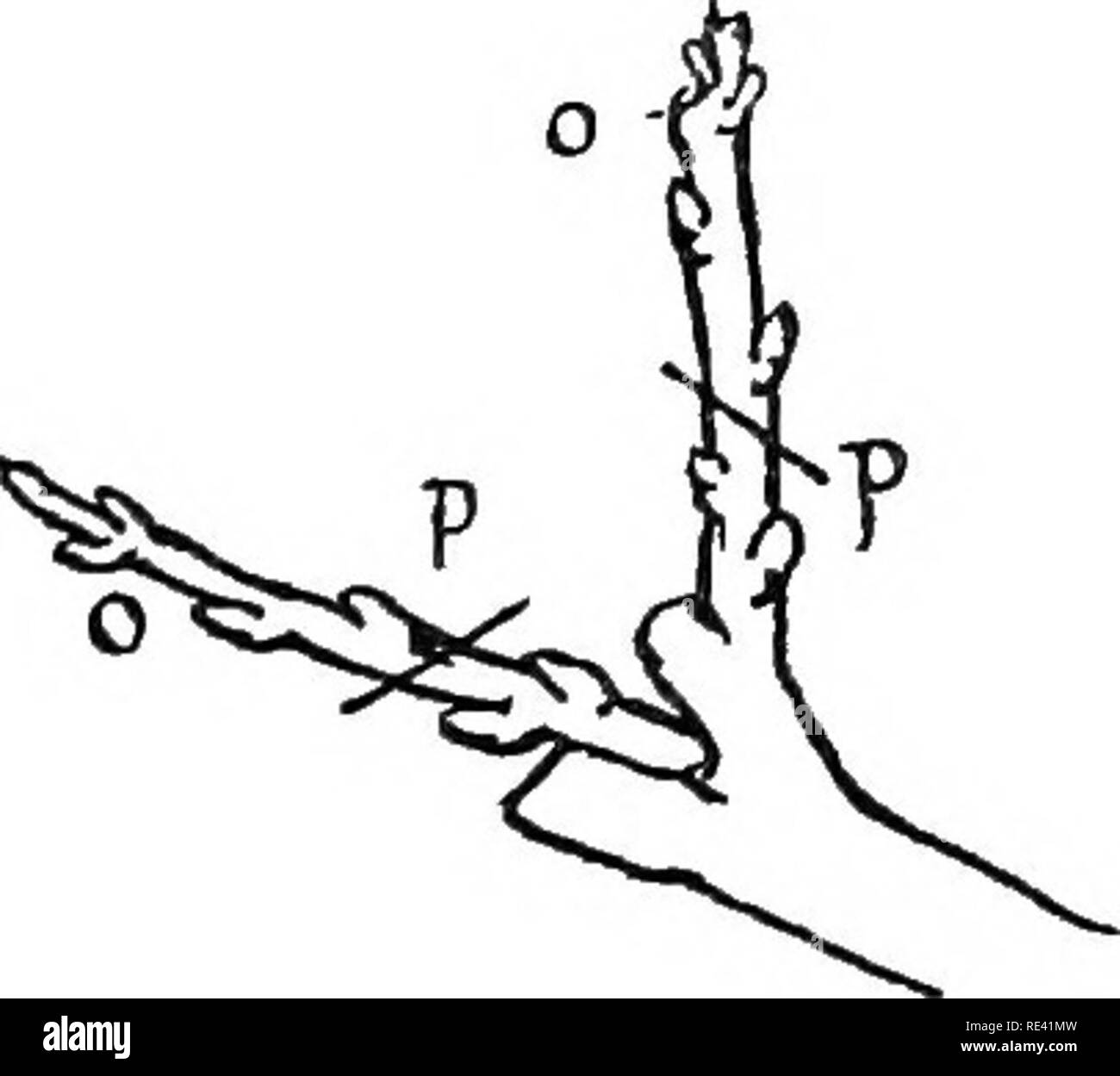 Diamond planting Black and White Stock Photos & Images - Alamy