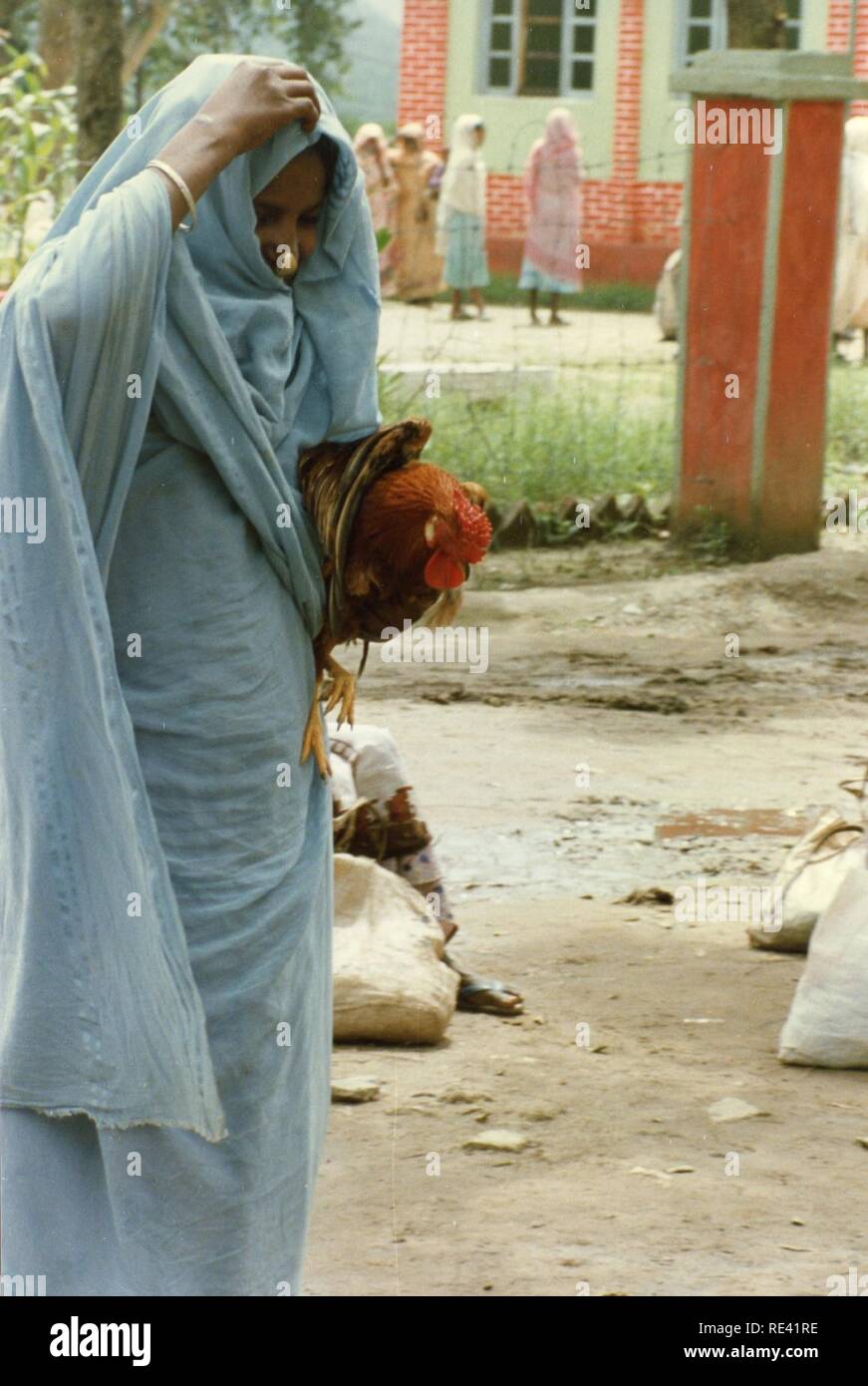 WOMAN WEARING AFRICAN GARB; HOLDING ROOSTER Stock Photo - Alamy