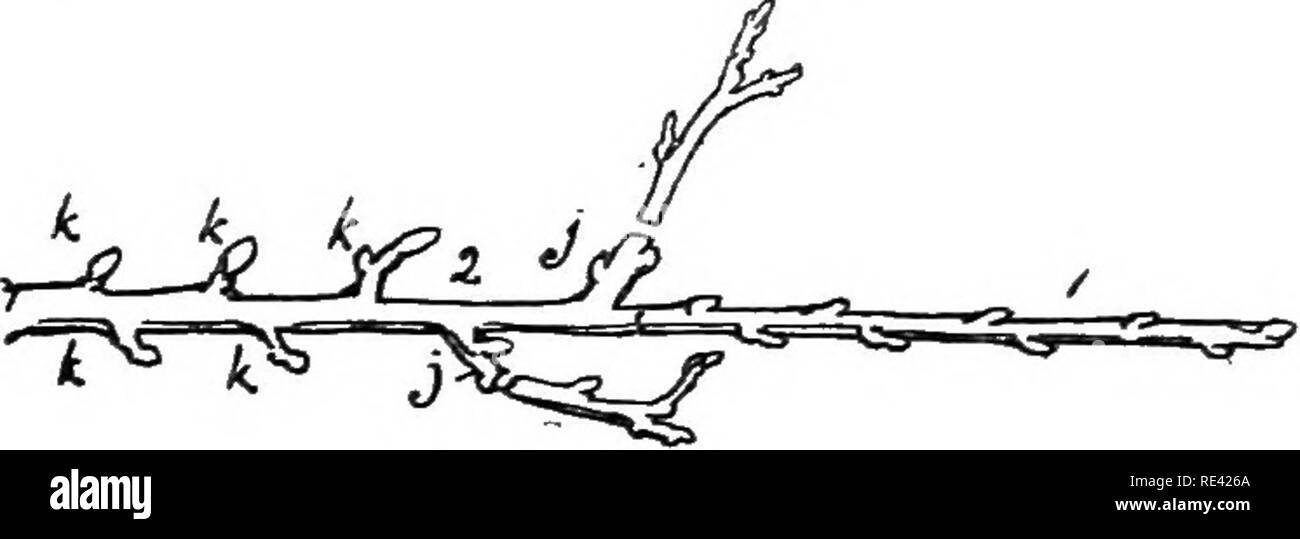 Horizontal arches form Black and White Stock Photos & Images - Alamy