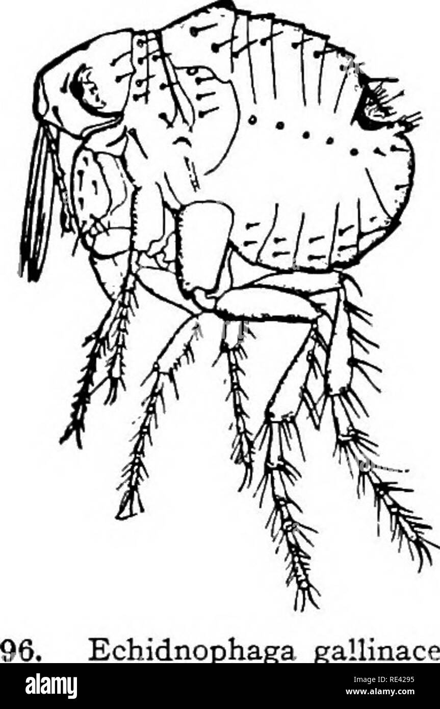 Formation of an abscess Black and White Stock Photos & Images - Alamy