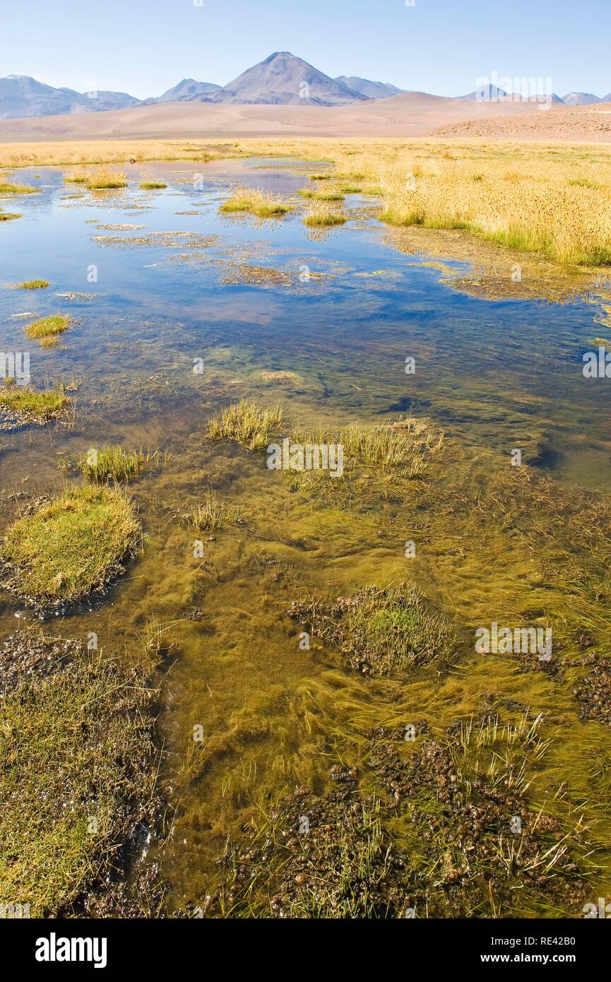 Green water chile landscapes hi-res stock photography and images - Alamy