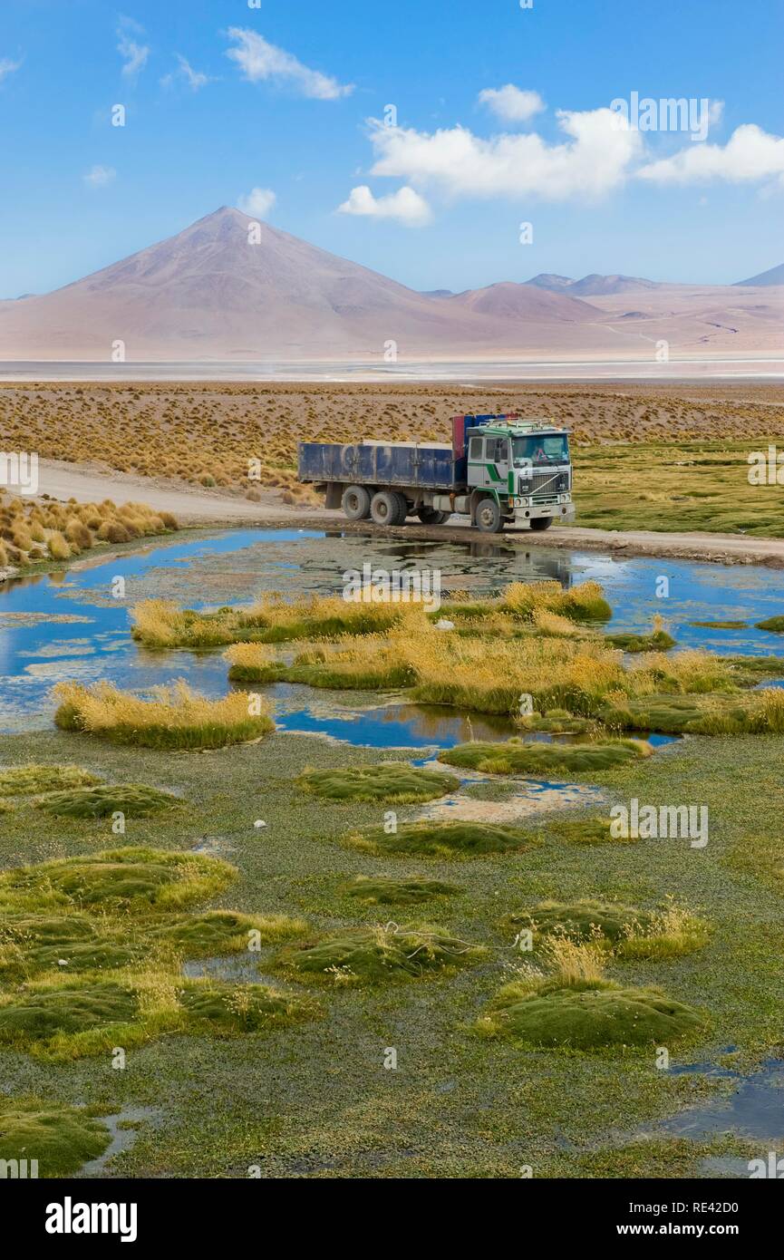 Laguna Colorada, Red Lagoon, Altiplano shallow salt lake, Potosi ...