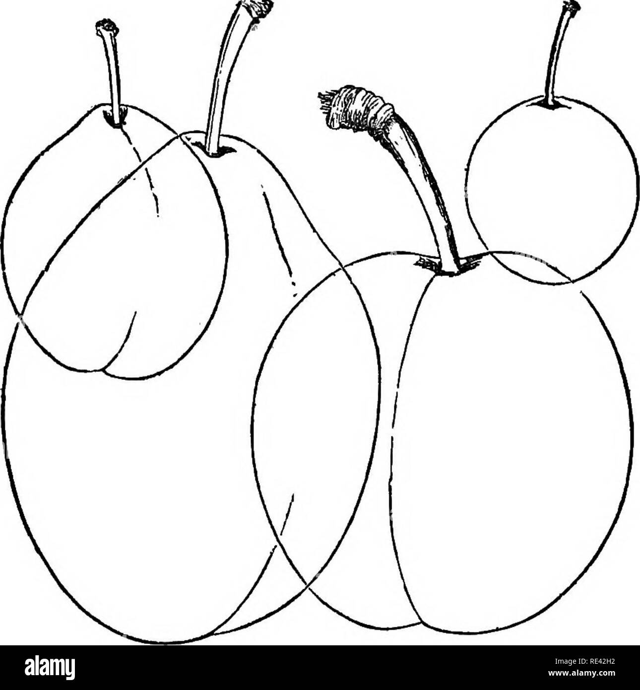 Last rep Cut Out Stock Images & Pictures - Alamy