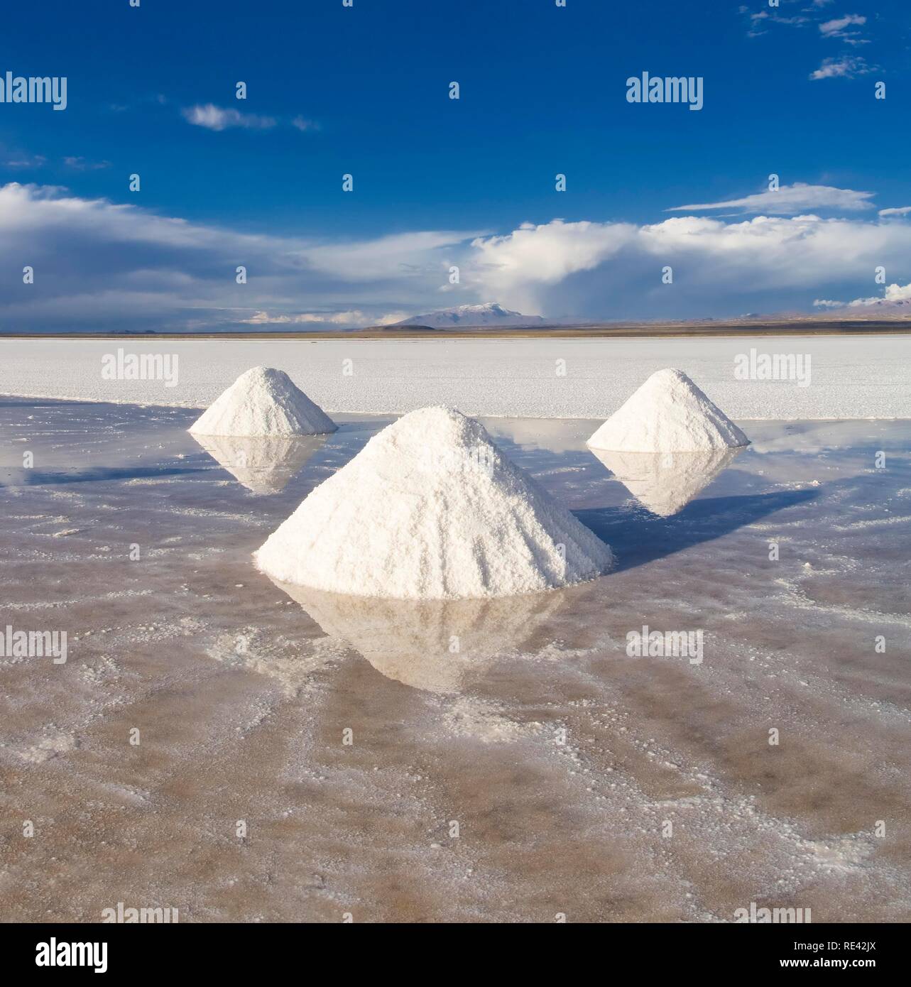 Salt cones, Salar de Uyuni, Potosi, Bolivia, South America Stock Photo ...