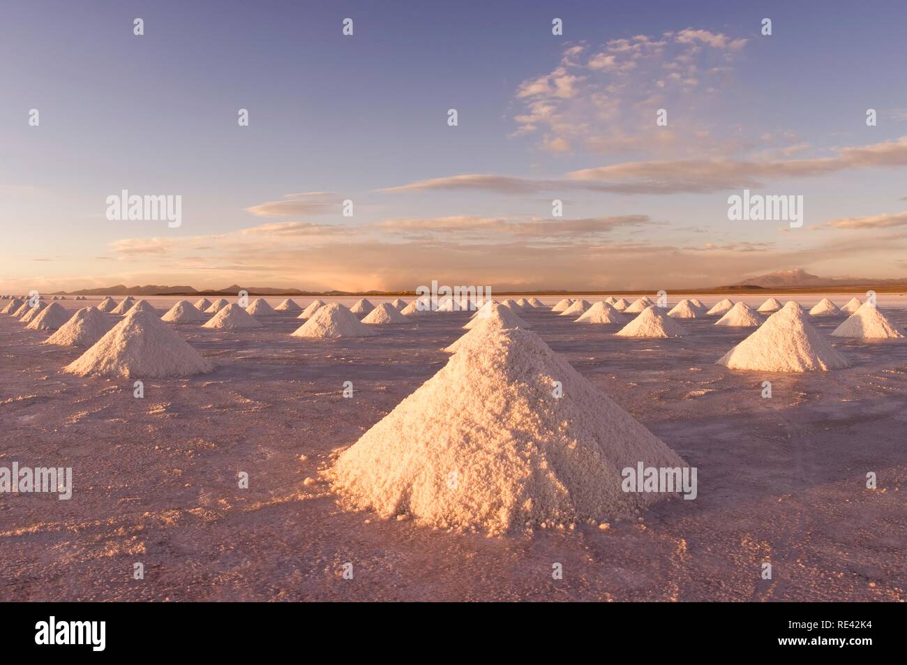 Salt cones, Salar de Uyuni at sunset, Potosi, Bolivia, South America ...
