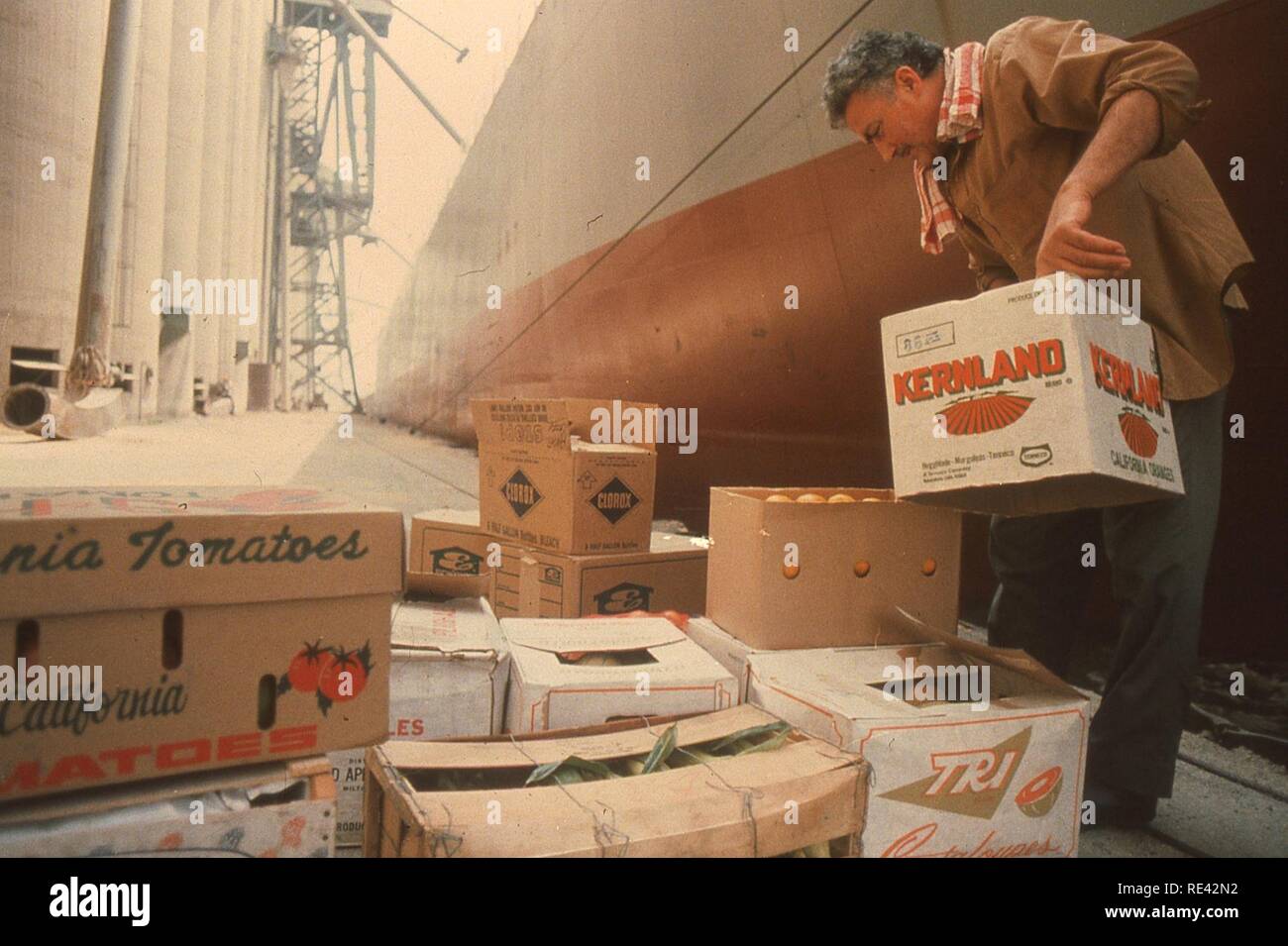 MAN LOOKING THROUGH BOXES ON A SHIP DOCK Stock Photo - Alamy