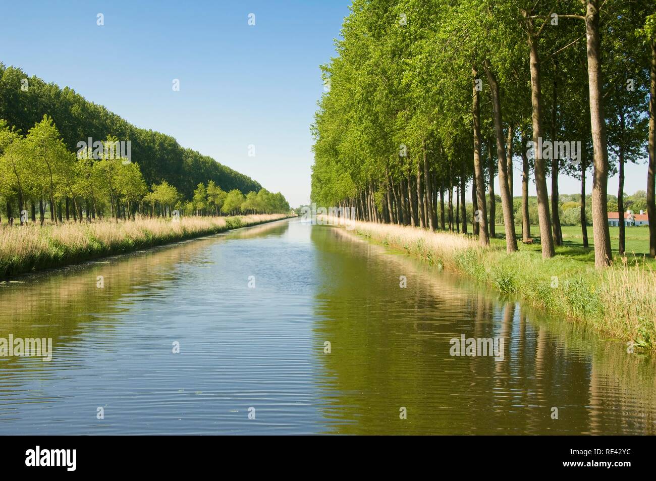 Flemish countryside hi-res stock photography and images - Alamy