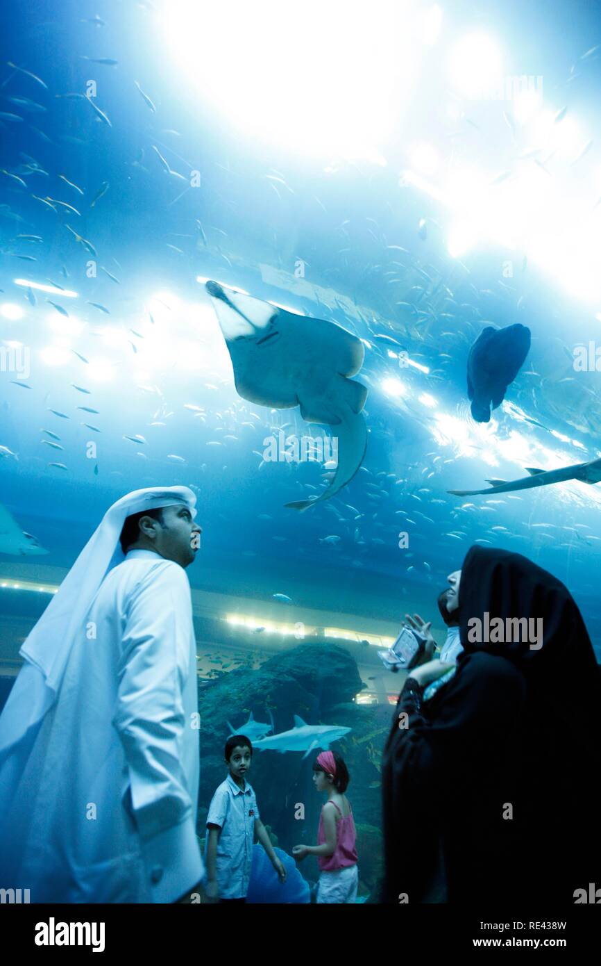 Dubai Aquarium and Underwater Zoo at the Dubai Mall, Dubai, United Arab ...