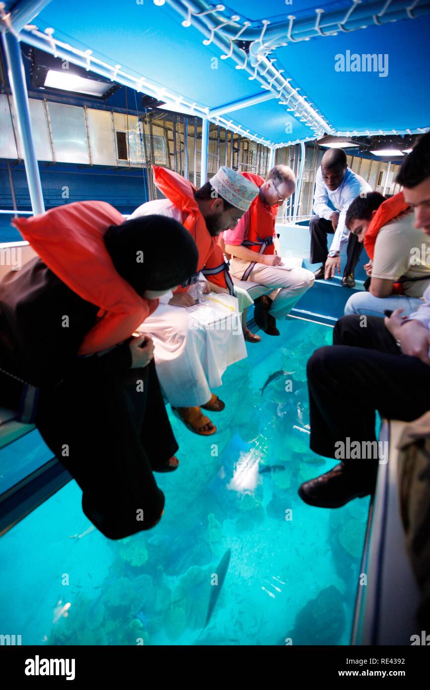 Visitors in the Dubai Aquarium and Underwater Zoo at the Dubai Mall ...