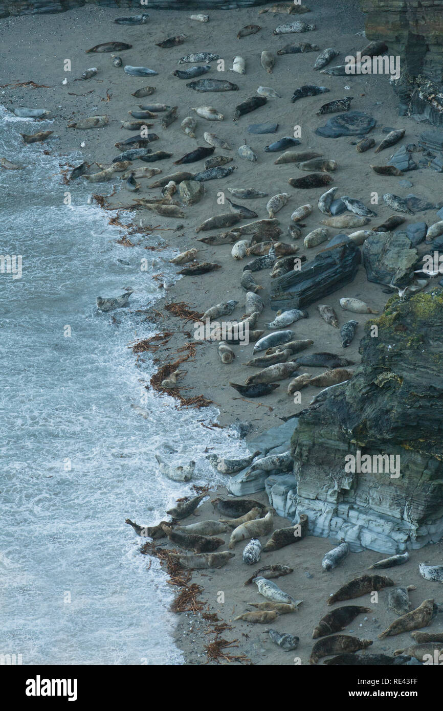 Mutton cove beach hi-res stock photography and images - Alamy