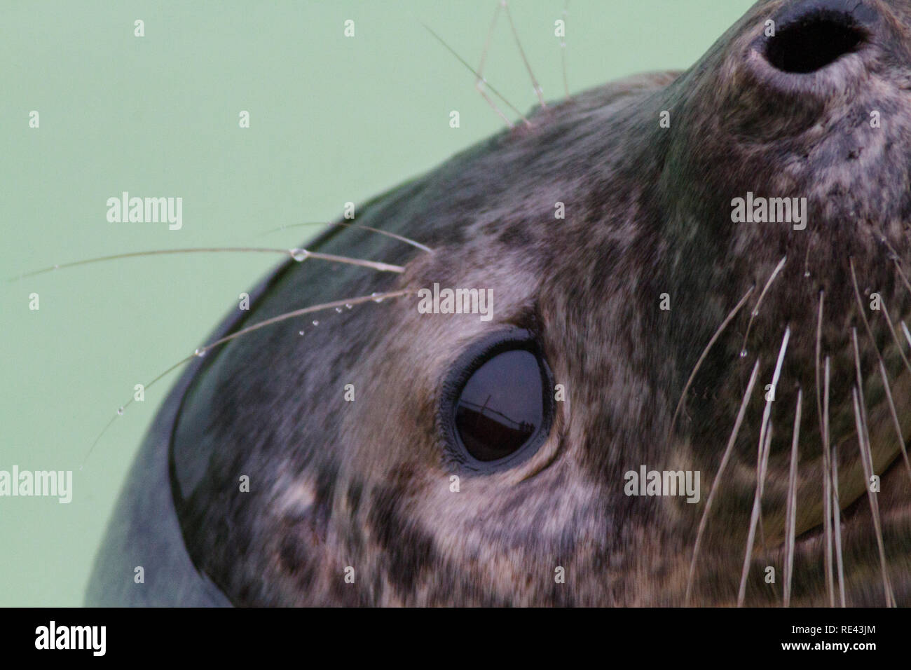 Gweek High Resolution Stock Photography and Images - Alamy